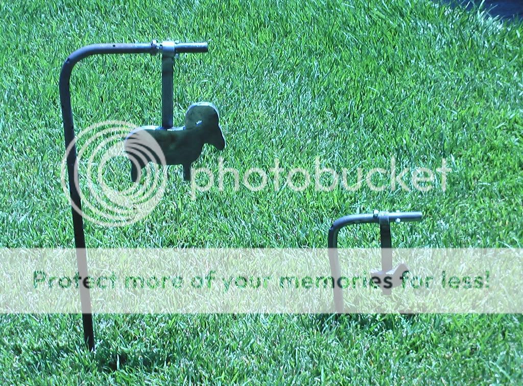 silhouette steel swinger target