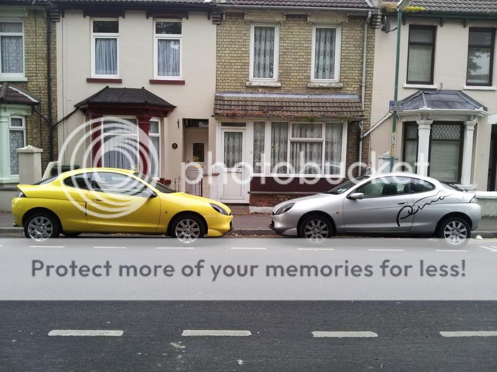 The Replacement Puma Has Arrived... And It's A Milly! | Project Puma ...