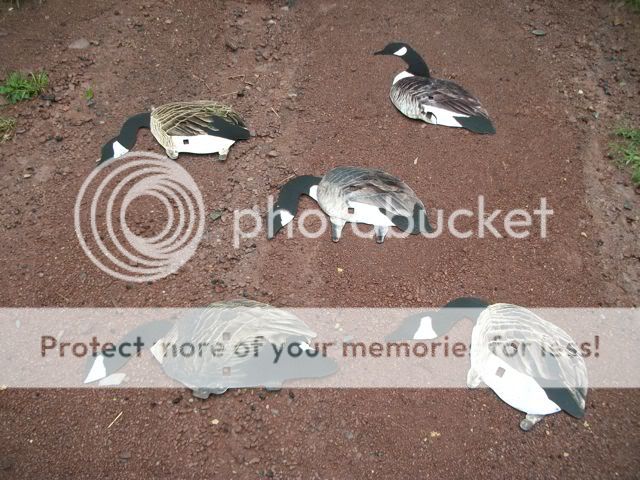 Goose V Boards For Sale | The HuntingPA.com Outdoor Community